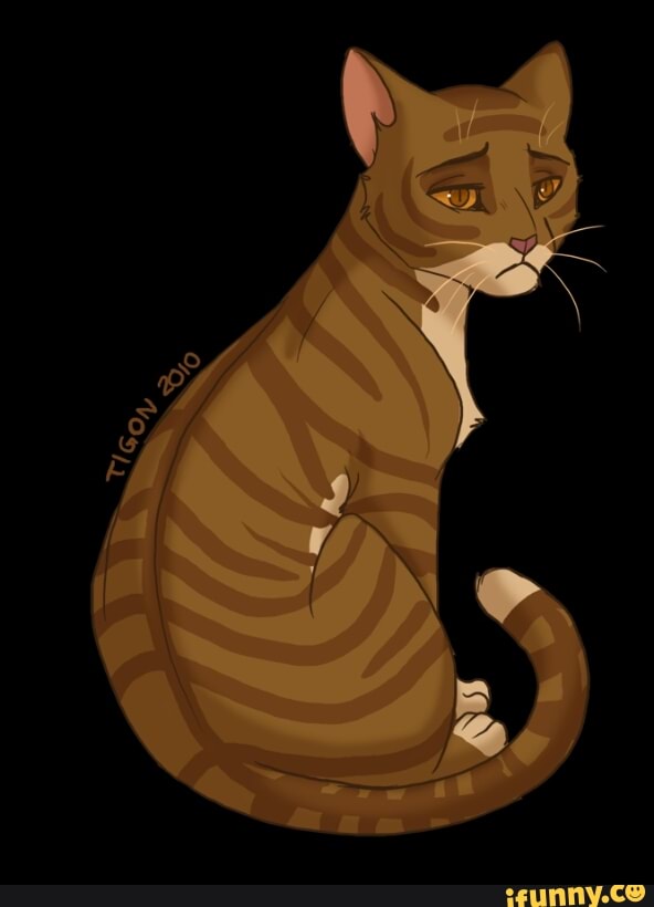 Leafpool memes. Best Collection of funny Leafpool pictures on iFunny