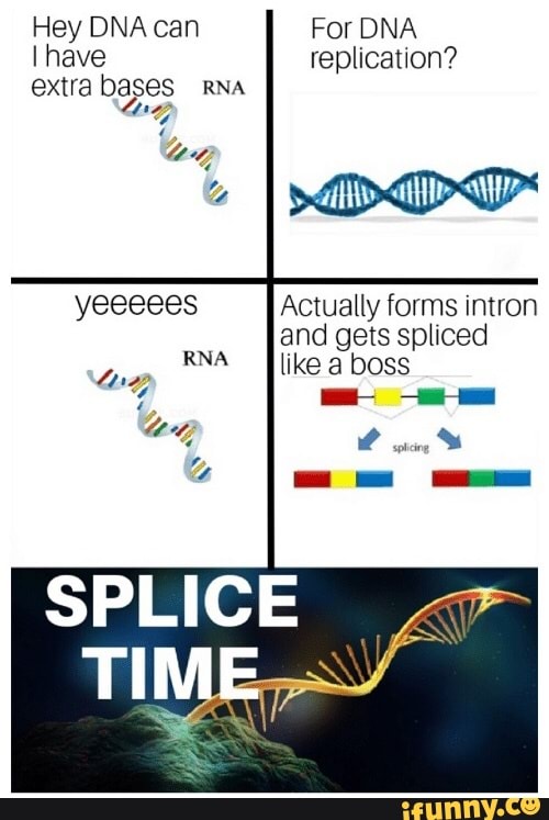 Biologymeme memes. Best Collection of funny Biologymeme pictures on iFunny