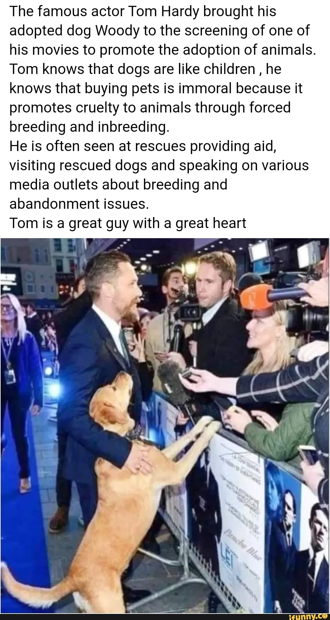 The famous actor Tom Hardy brought his adopted dog Woody to the ...