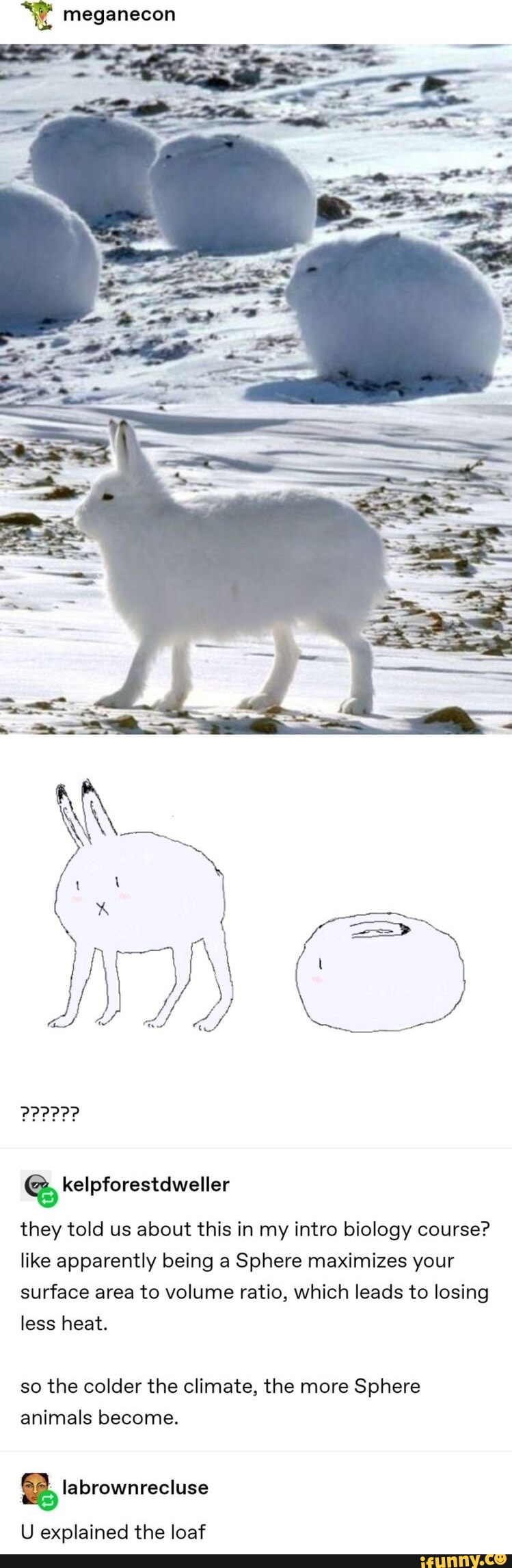 Video memes ea1vPA5pA by VULTOL_The_Great: 0.5K comments - iFunny