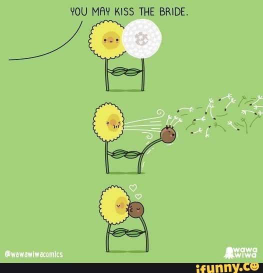 Bride memes. Best Collection of funny Bride pictures on iFunny