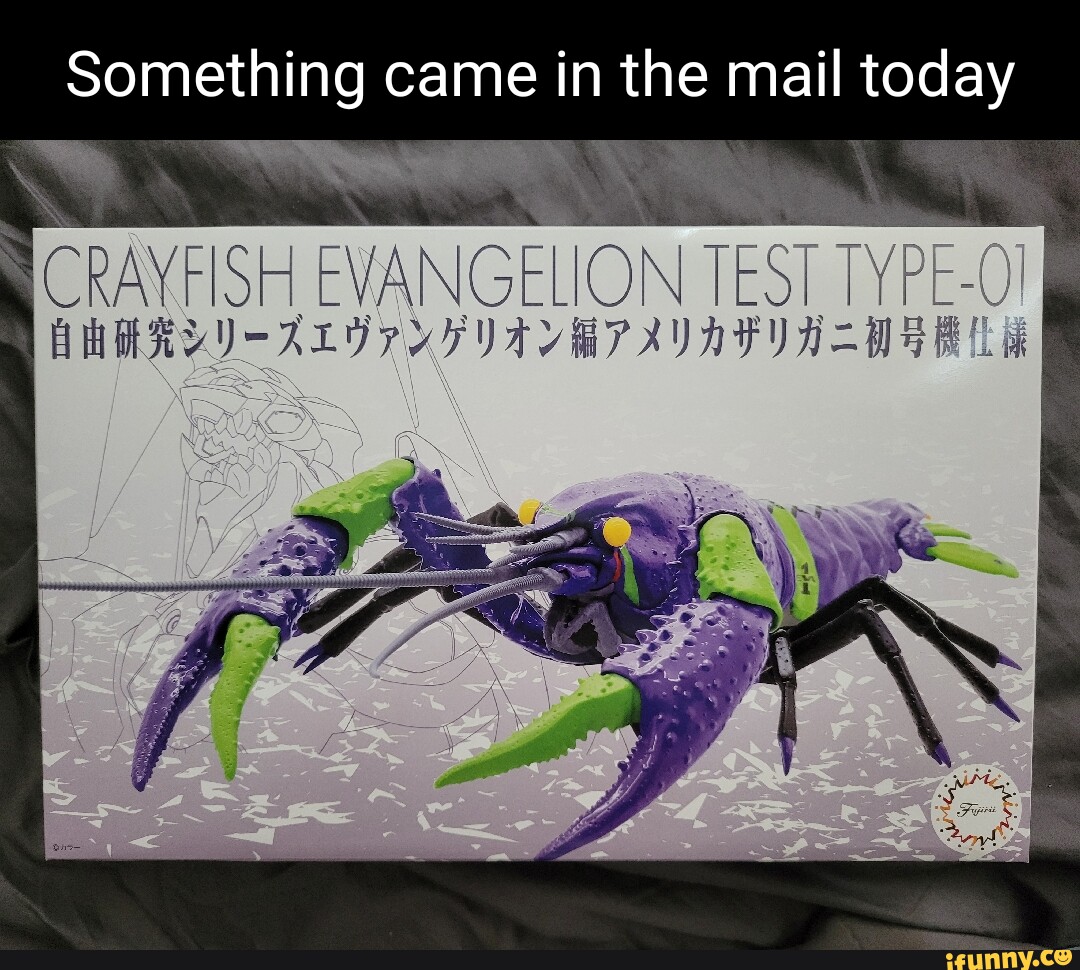 Something came in the mail today FININGELION TEST TYPE-OI - iFunny