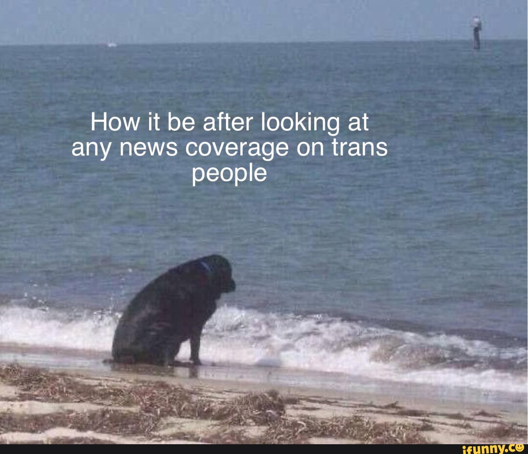 Egg irl - Egg irl How it be after looking at any news coverage on trans ...