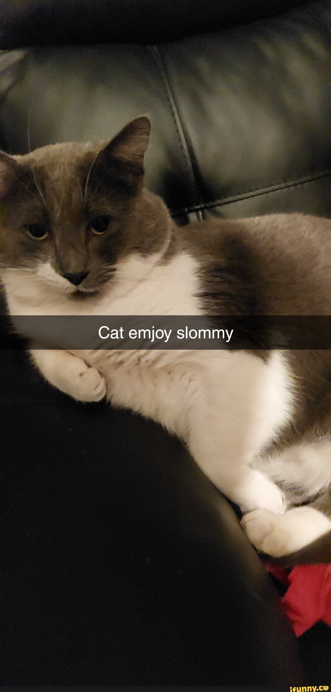 Emjoy memes. Best Collection of funny Emjoy pictures on iFunny