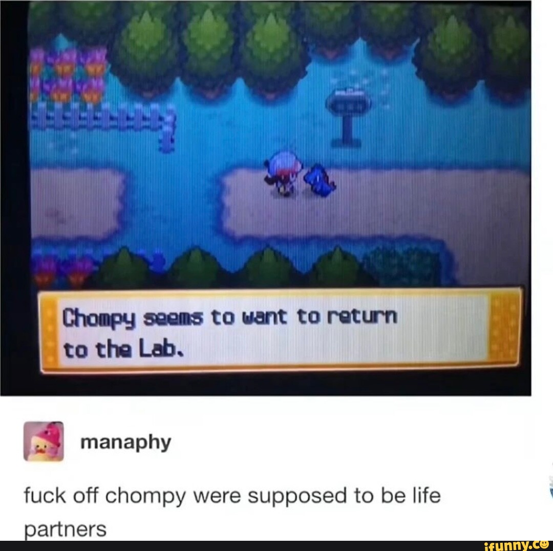 Manaphy memes. Best Collection of funny Manaphy pictures on iFunny