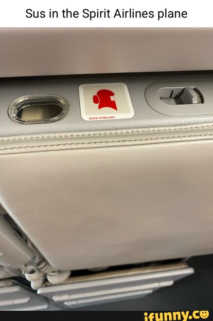 Sus in the Spirit Airlines plane - iFunny