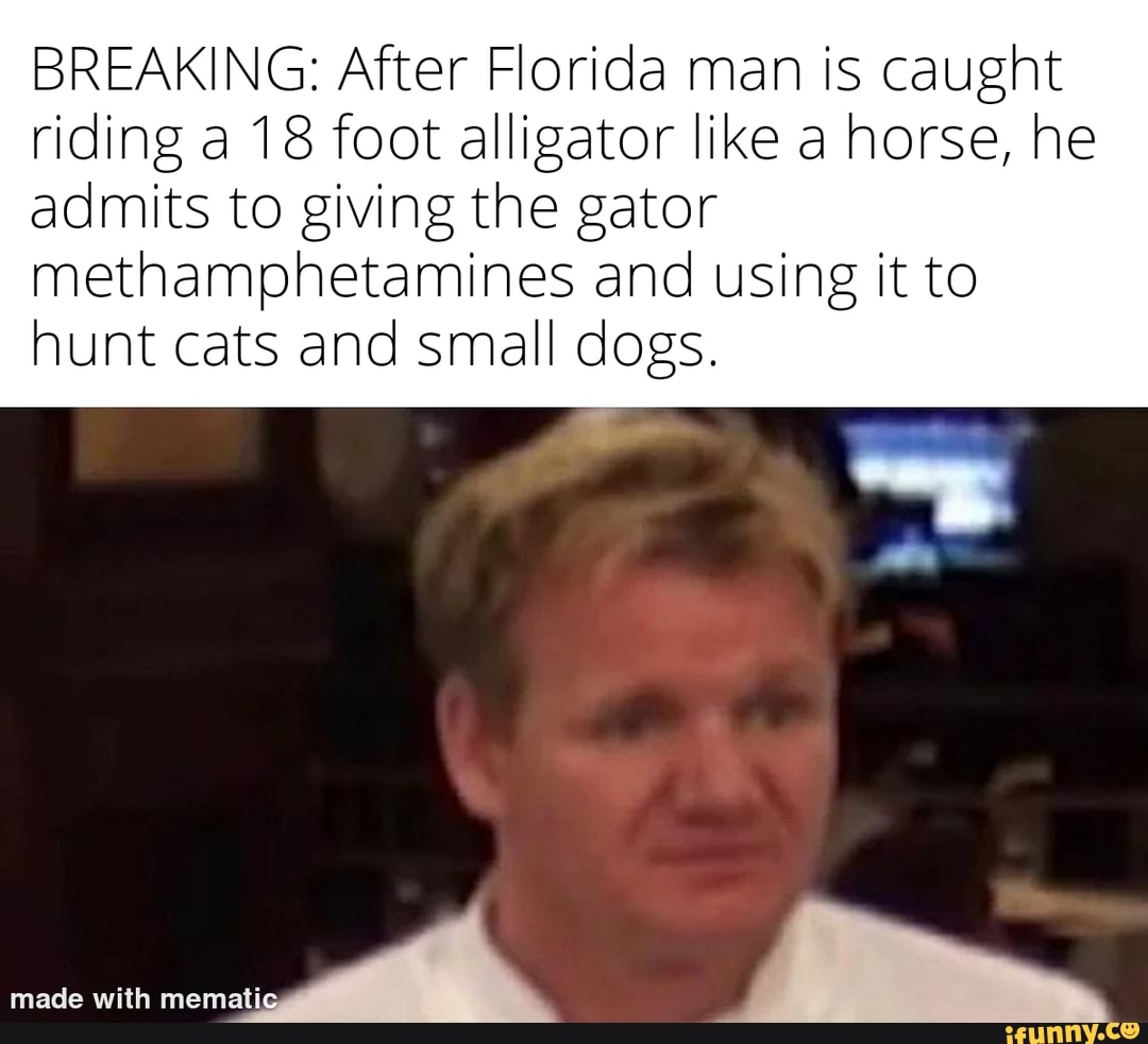 BREAKING: After Florida man is caught riding a 18 foot alligator like a ...