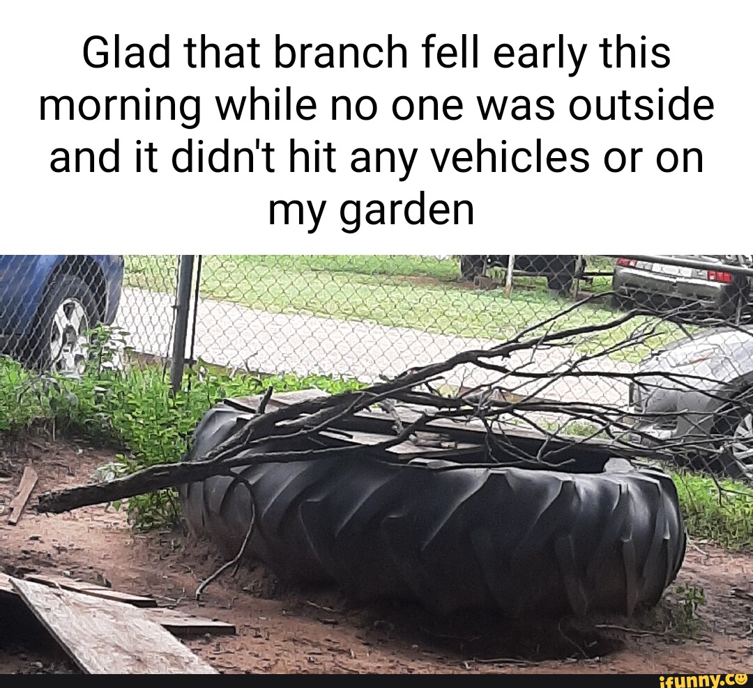 Branch memes. Best Collection of funny Branch pictures on iFunny