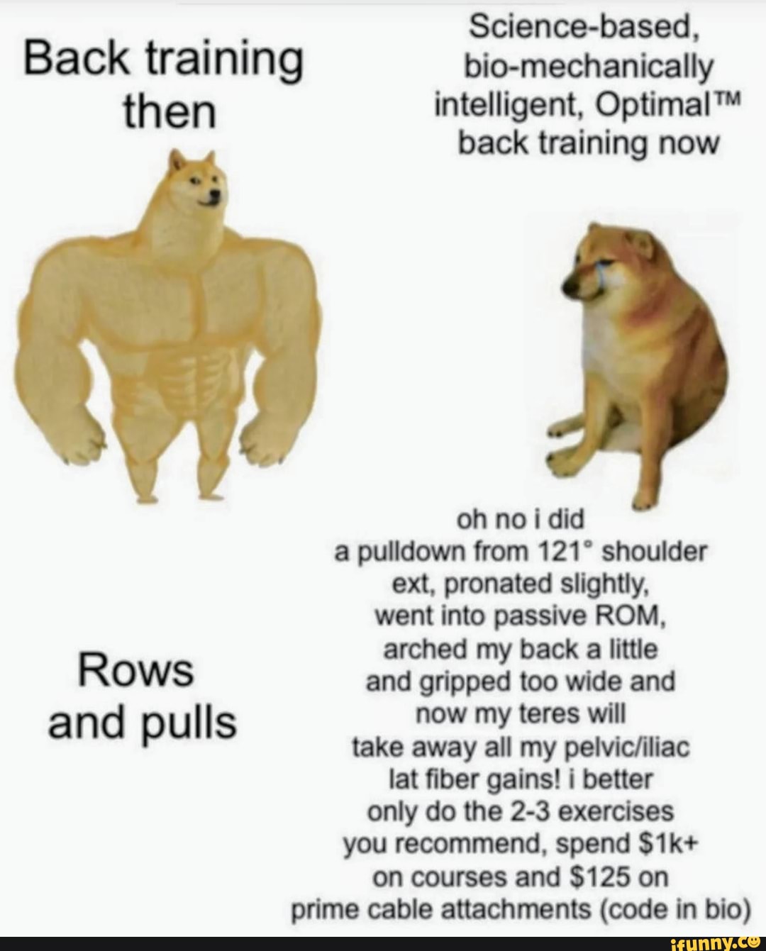 Science-based, Back training bio-mechanically a pulldown from shoulder ...