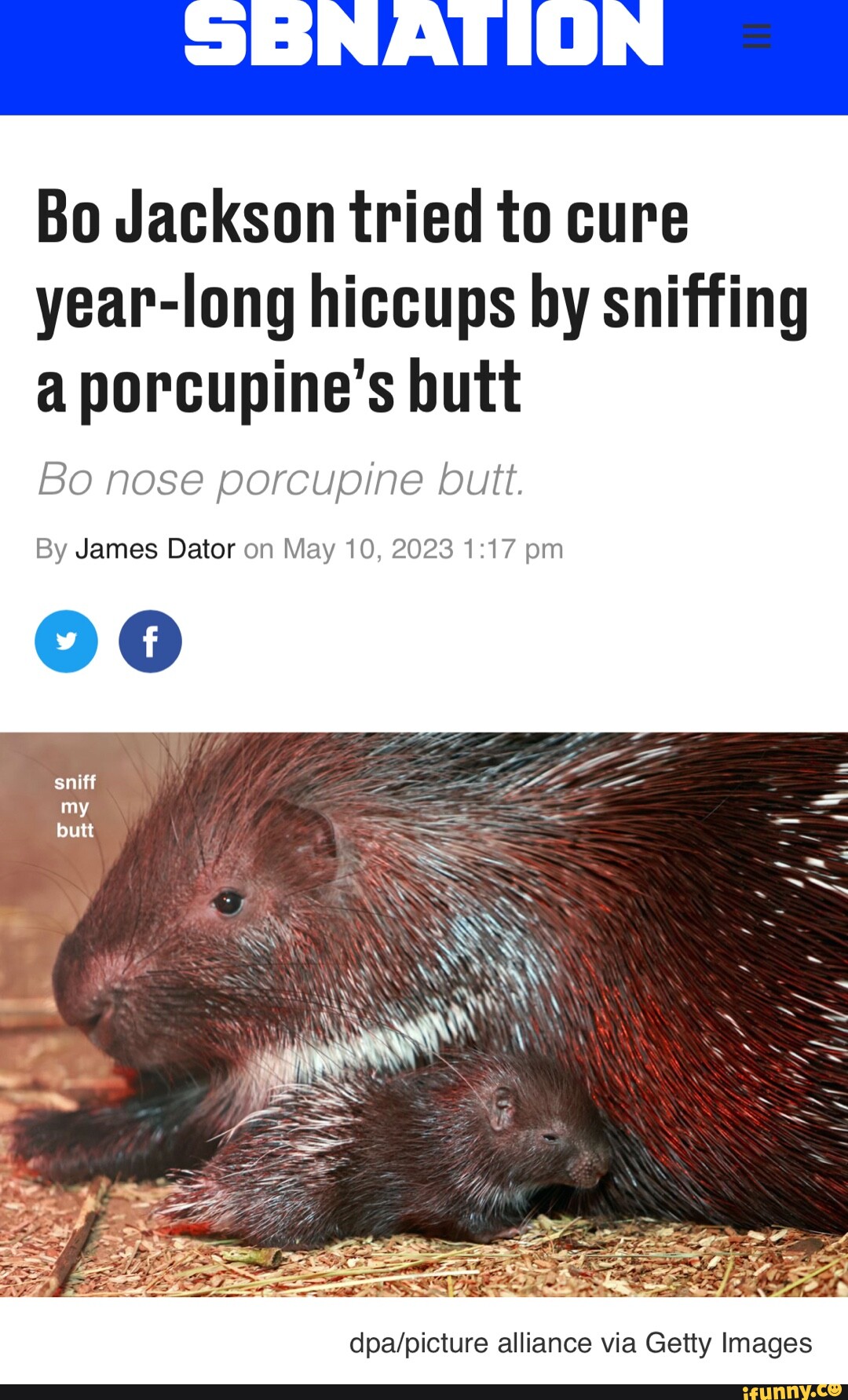 SBNATION Bo Jackson tried to cure year-long hiccups by sniffing a ...