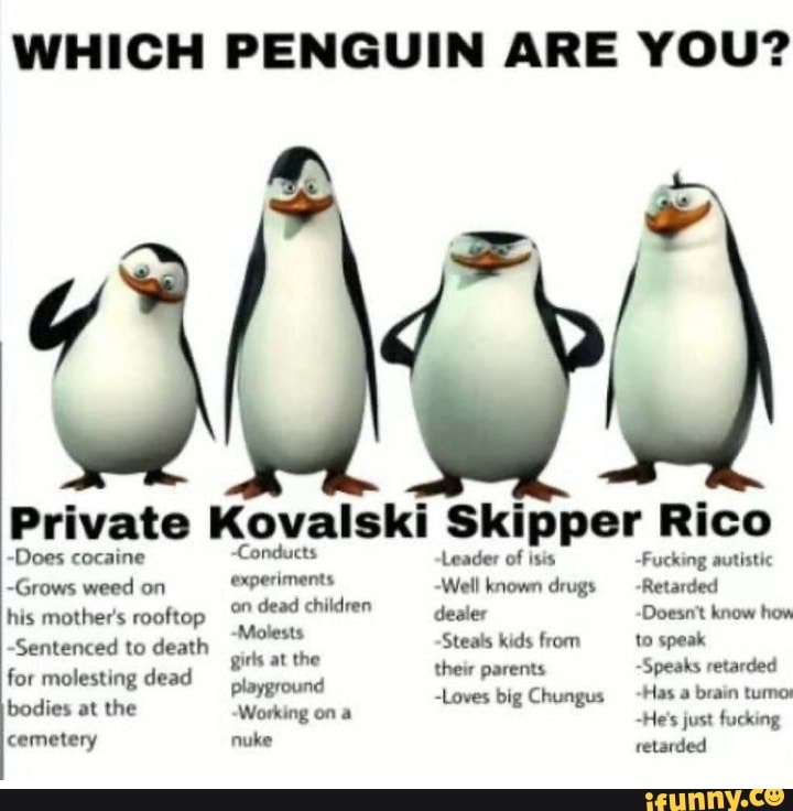 Skipper memes. Best Collection of funny Skipper pictures on iFunny