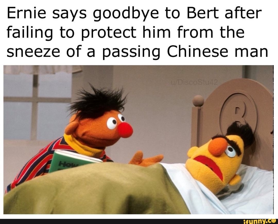 Ernie says goodbye to Bert after failing to protect him from the sneeze ...
