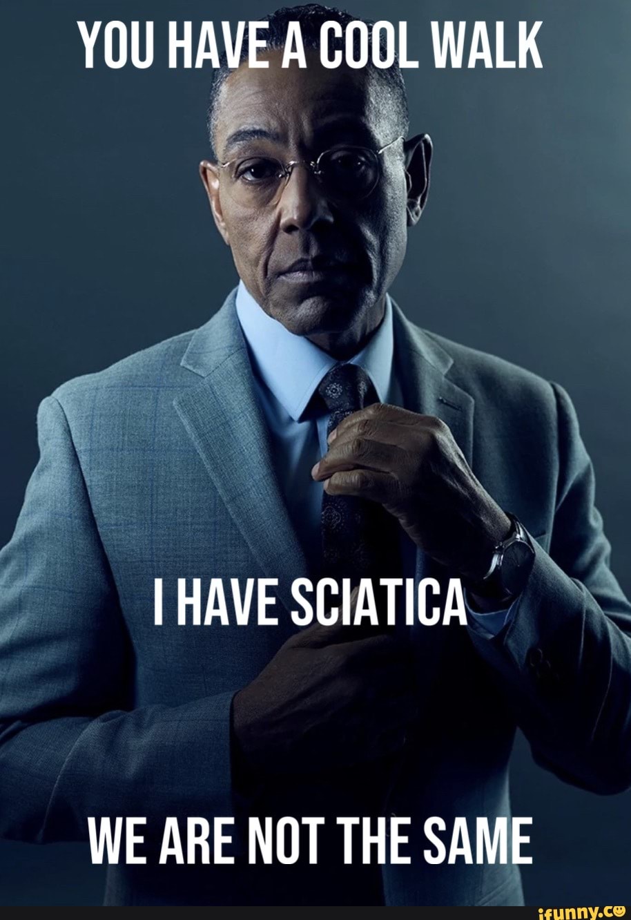 YOU HAVE A COOL WALK I HAVE SCIATICA WE ARE NOT THE SAME - iFunny