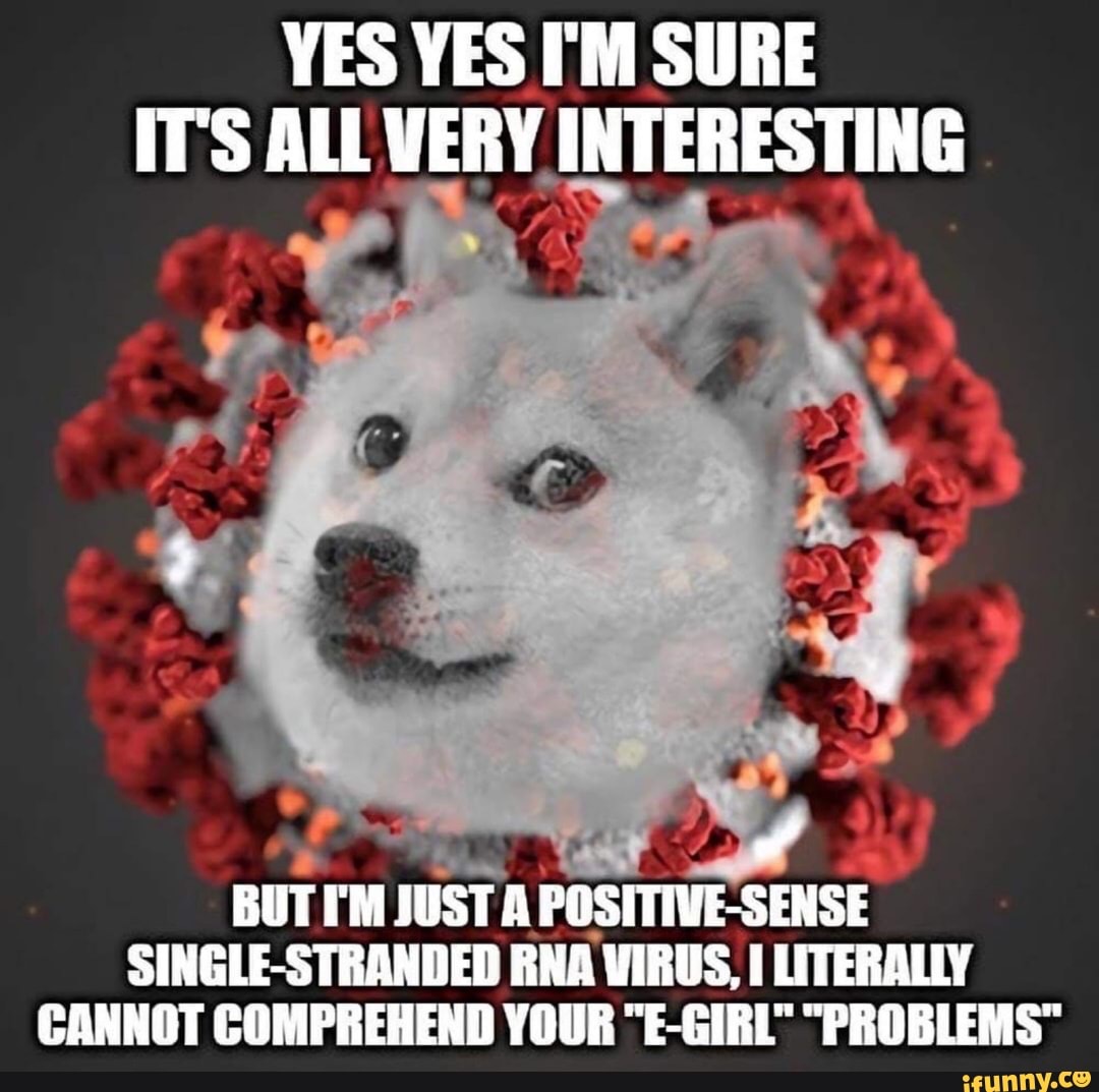 YES YES I'M SURE ITSALL VERY INTERESTING BUT FM JUSTA POSITIVE-SENSE ...