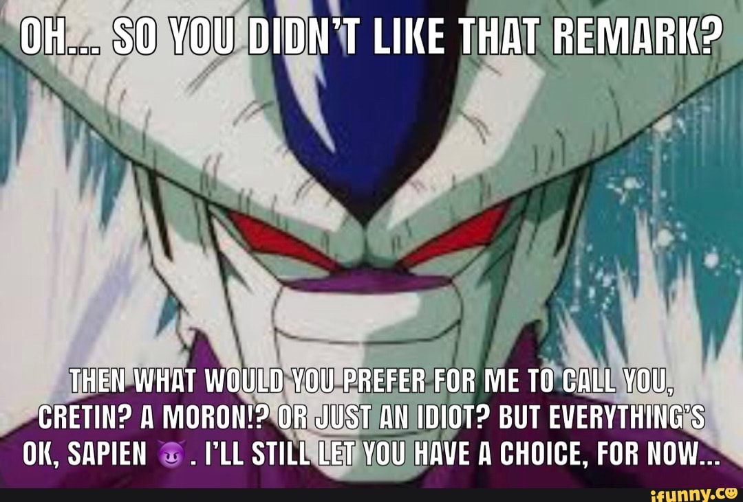 OH... SO YOU DIDN'T LIKE THAT REMARK? THEN WHAT WOULD YOU PREFER FOR ME ...