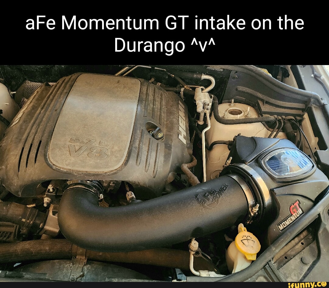 Durango memes. Best Collection of funny Durango pictures on iFunny