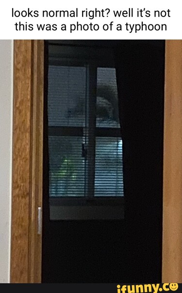 Abnormal memes. Best Collection of funny Abnormal pictures on iFunny