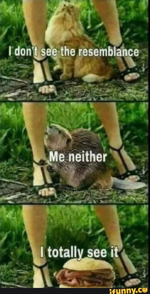 Bloody hell. Alexa, ordered baby cheeses - iFunny