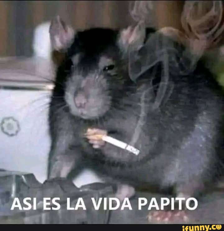 ASI ES LA VIDA PAPITO - iFunny