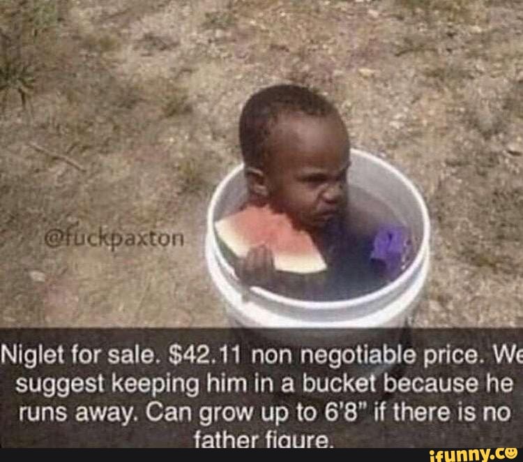 Niglet for sale. $42.11 non negotiable price. We suggest keeping him in ...
