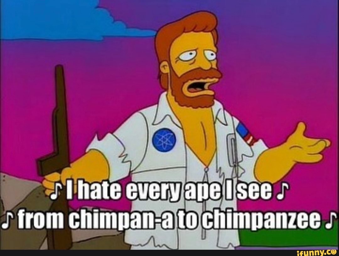 Hate every ape lsee from chimpan-a to chimpanzee - iFunny