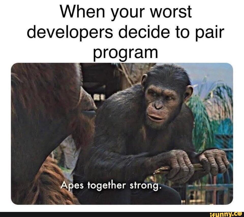 When your worst developers decide to pair program Apes together strong ...