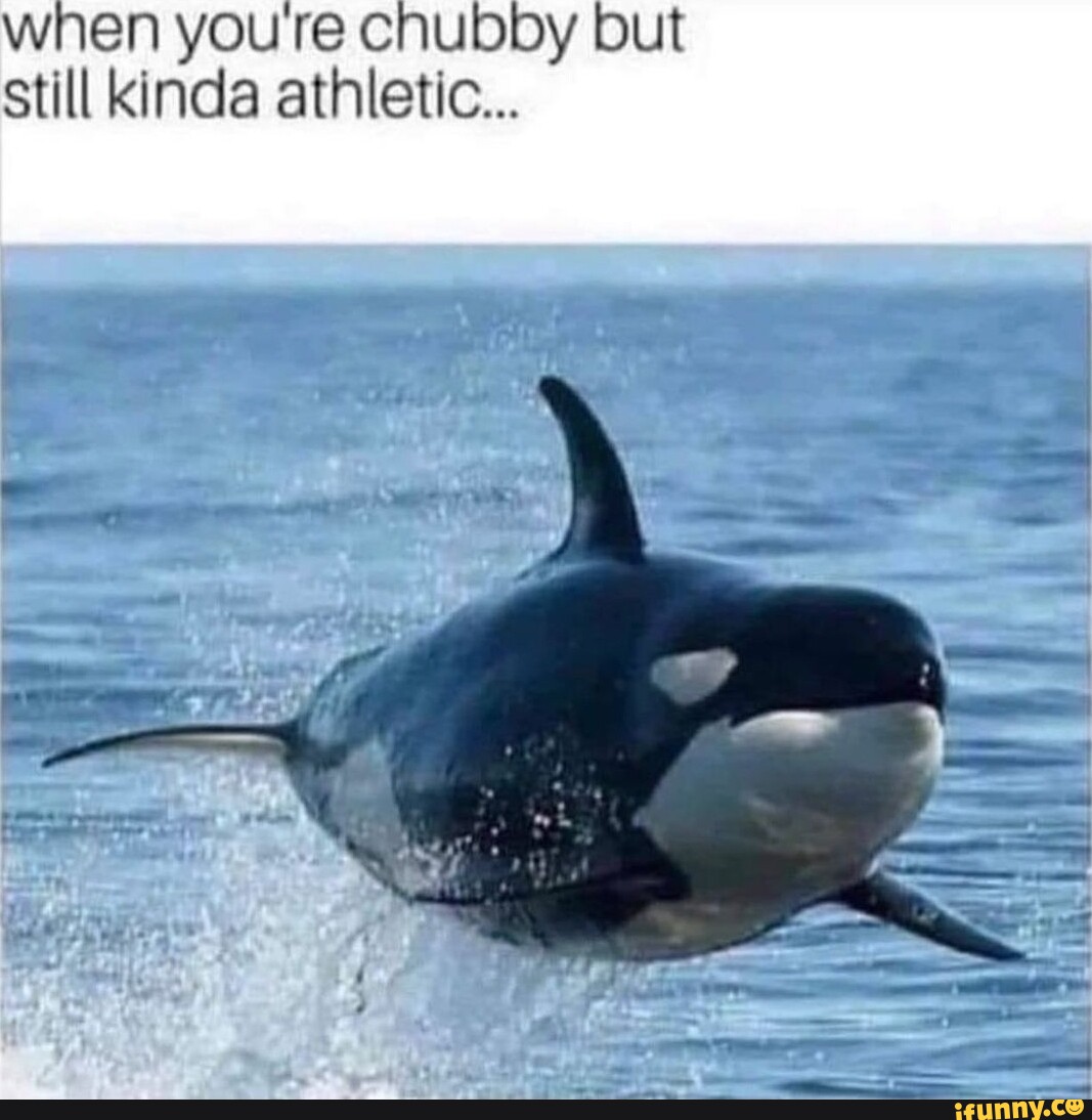 When youre chubby but still kinda athletic... - iFunny