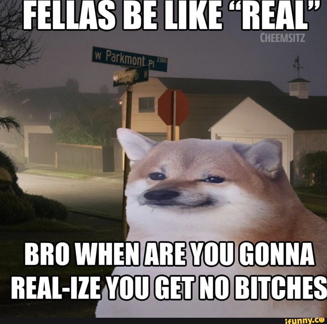 FELLAS BE LIKE "REAL" CHEEMSITZ BRO WHEN ARE YOU GONNA REAL-IZE YOU GET ...