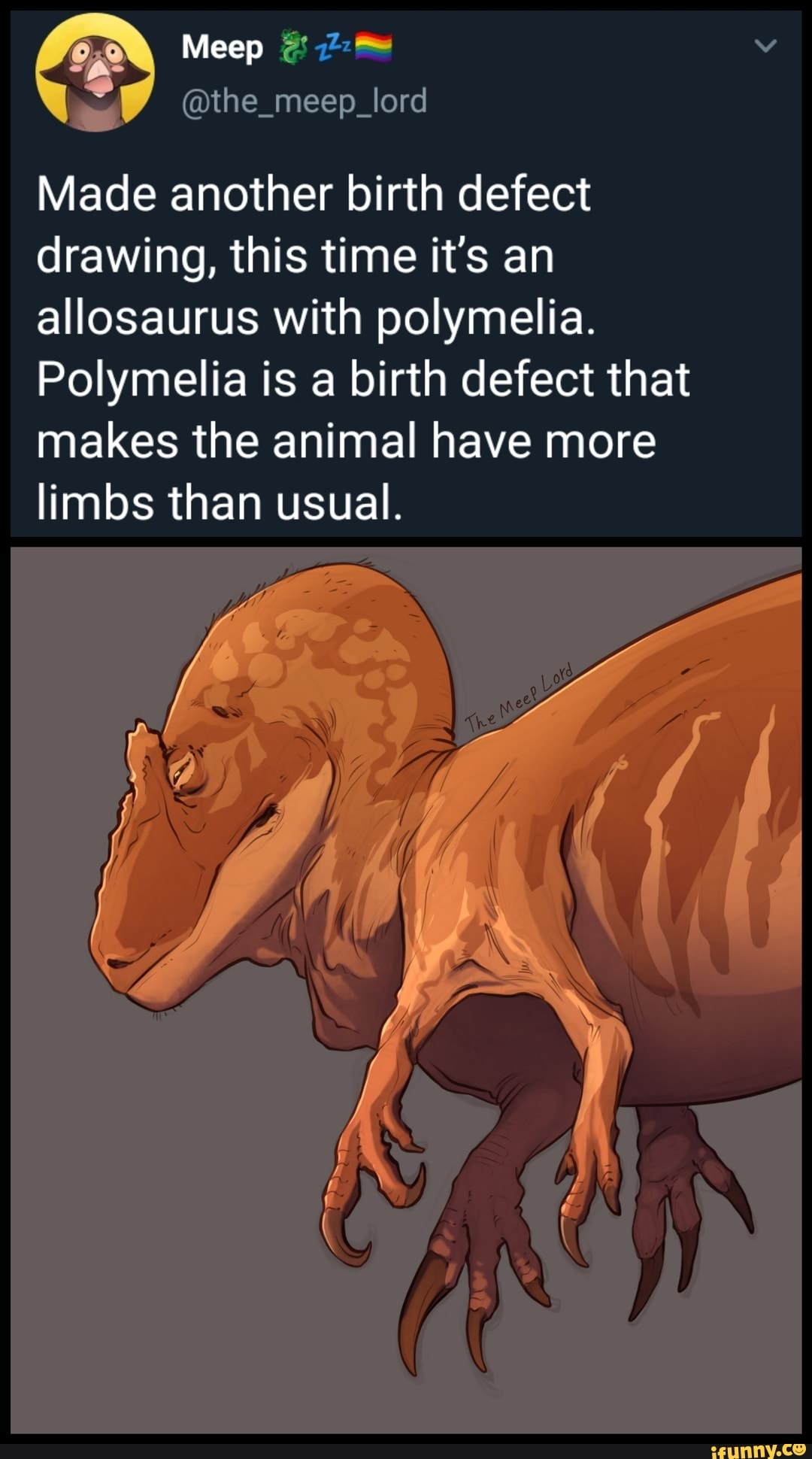 Polymelia