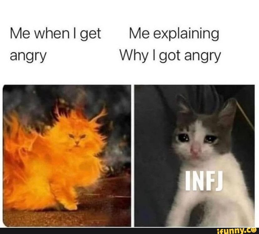 Me when get Me explaining angry Why I got angry INFJ - iFunny
