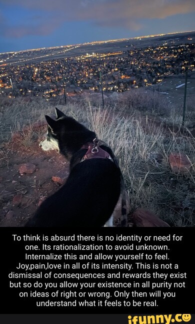 Rationalization memes. Best Collection of funny Rationalization ...