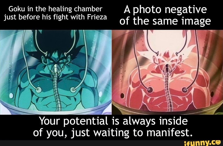 Goku in the healing chamber photo negative just before his fight with ...