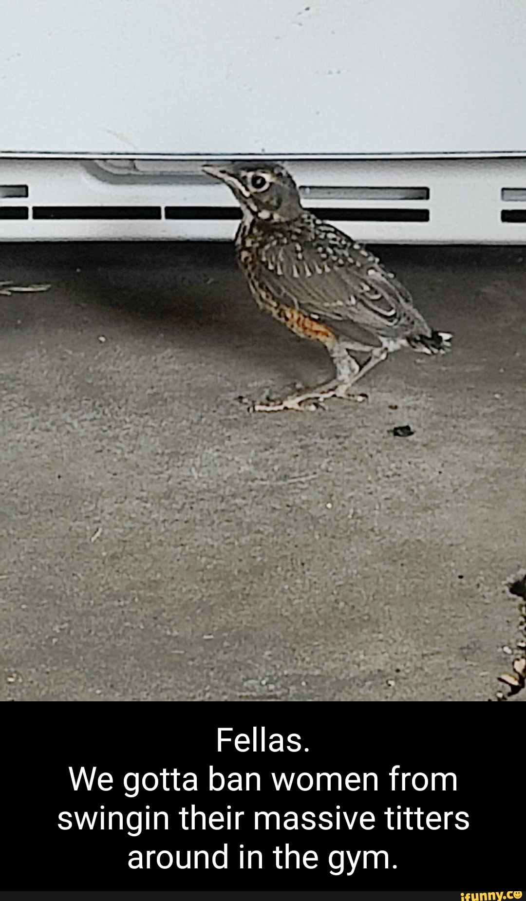 Titters memes. Best Collection of funny Titters pictures on iFunny