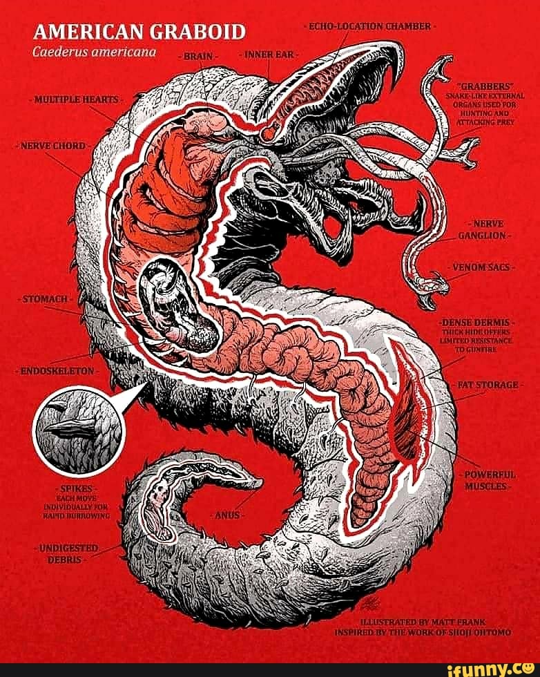 AMERICAN GRABOID ECHO-LOCATION CHAMBER GRABBERS: (ORGANS IISED POR ...