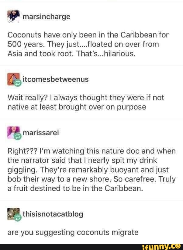 Marsincharge Coconuts have only been in the Caribbean for 500 years. They just....floated on ...