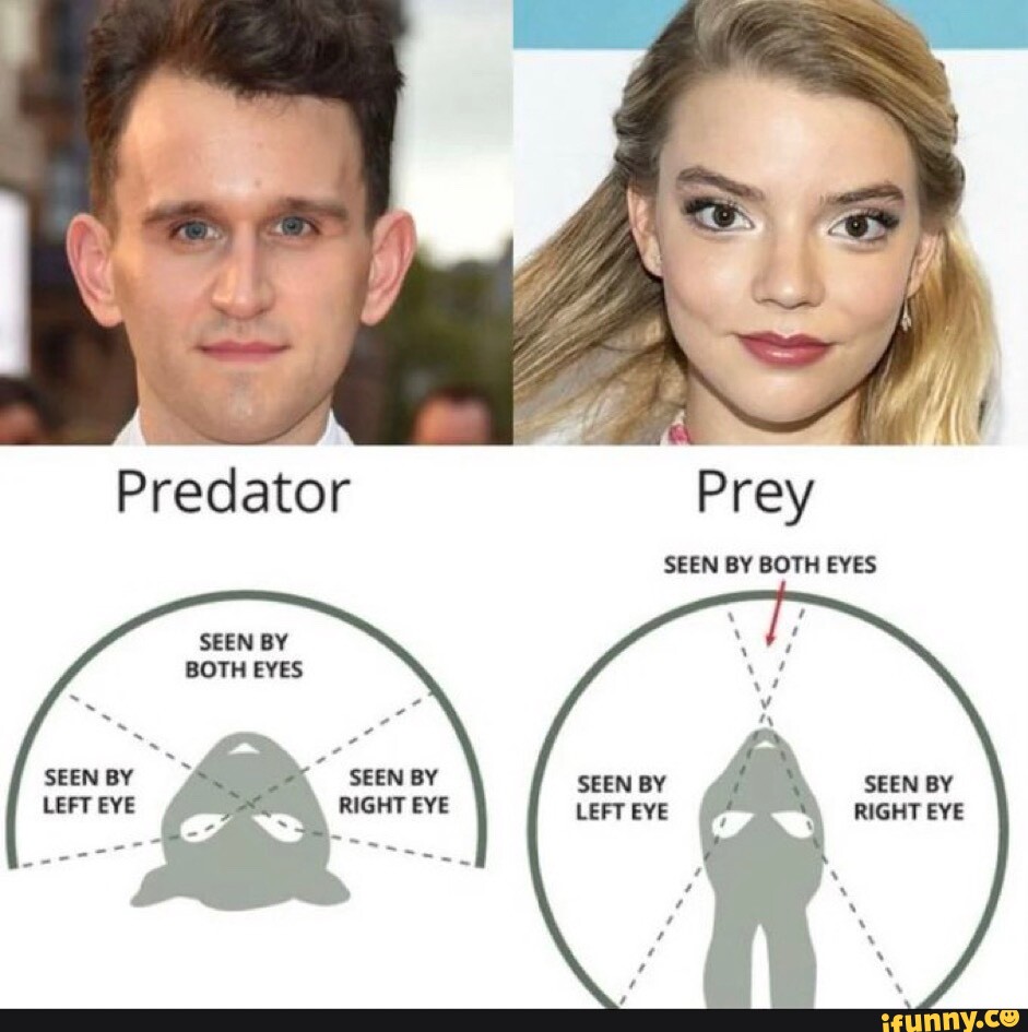 We need parents like this - iFunny