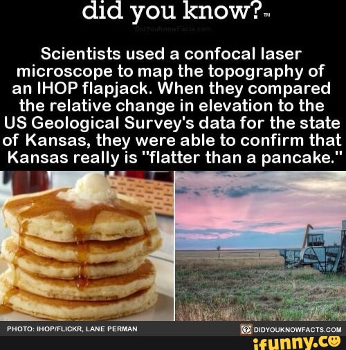 Flapjack memes. Best Collection of funny Flapjack pictures on iFunny