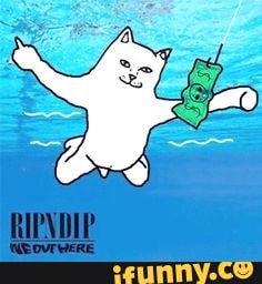 Ripndip memes. Best Collection of funny Ripndip pictures on iFunny