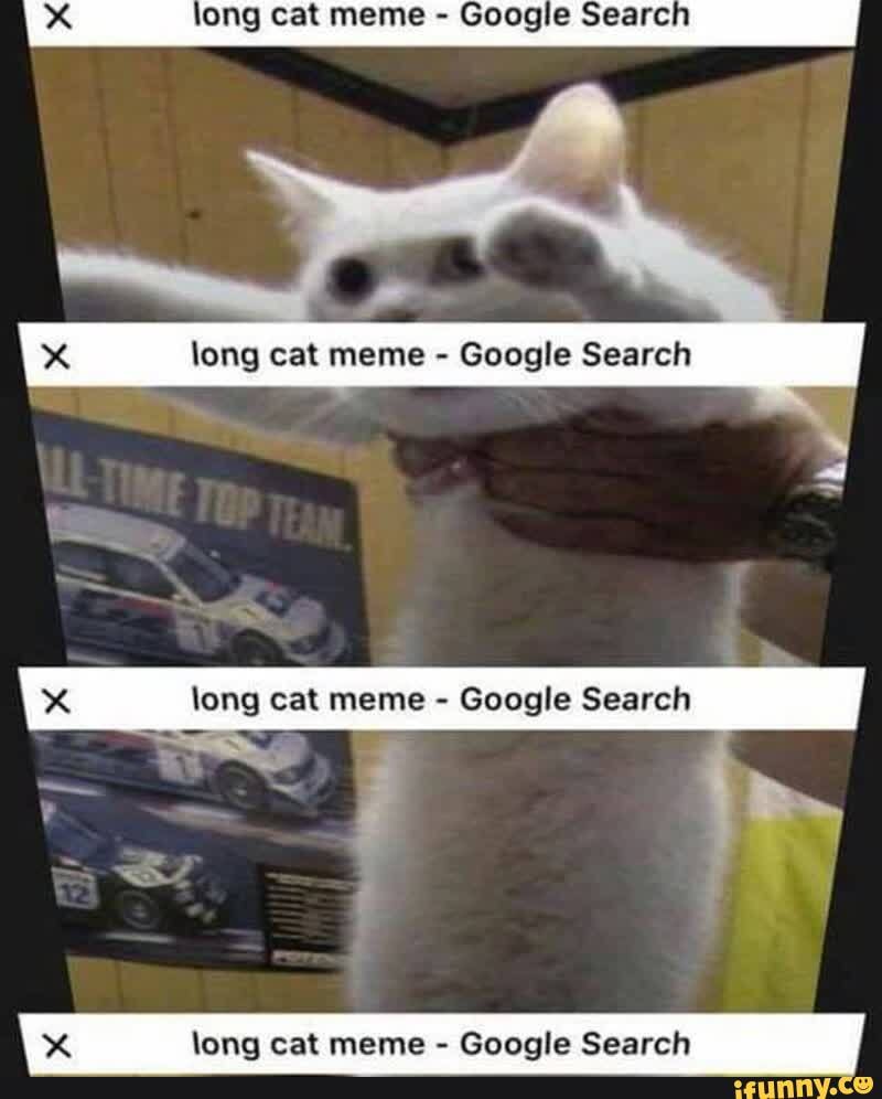 Ong cat meme - Google Searc long cat meme - Google Search - iFunny