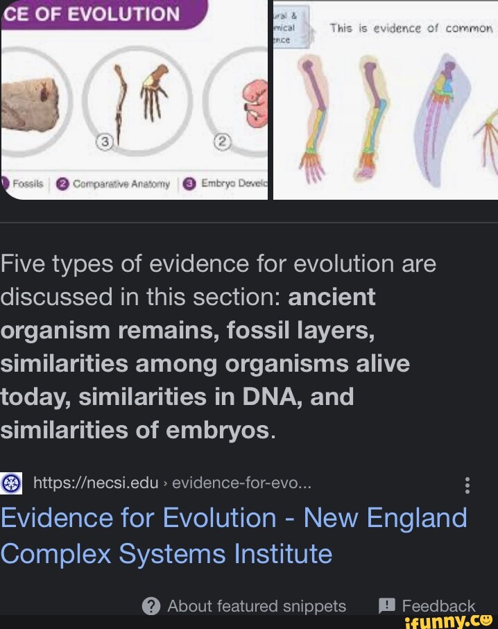 CE OF EVOLUTION Five types of evidence for evolution are discussed in ...