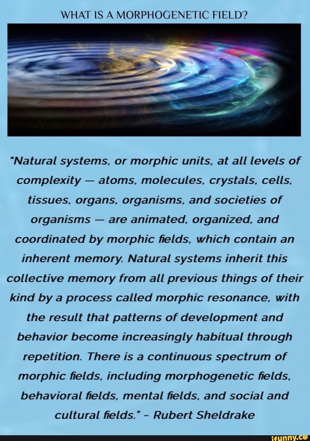 WHAT tS A MORPHOGENETIC FIELD? NN ON "Natural systems, or morphic units ...