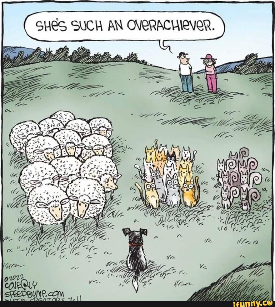 SHES SUCH AN OVERACHIEVER. BB GE WE IMP,