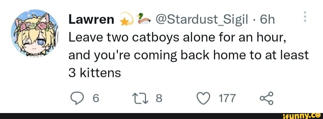 Catboys memes. Best Collection of funny Catboys pictures on iFunny