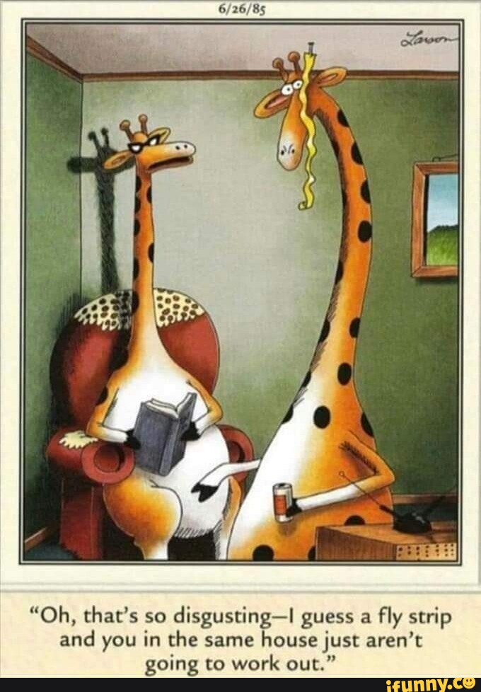 "Oh, that's so disgusting- guess a fly strip and you in the same house ...