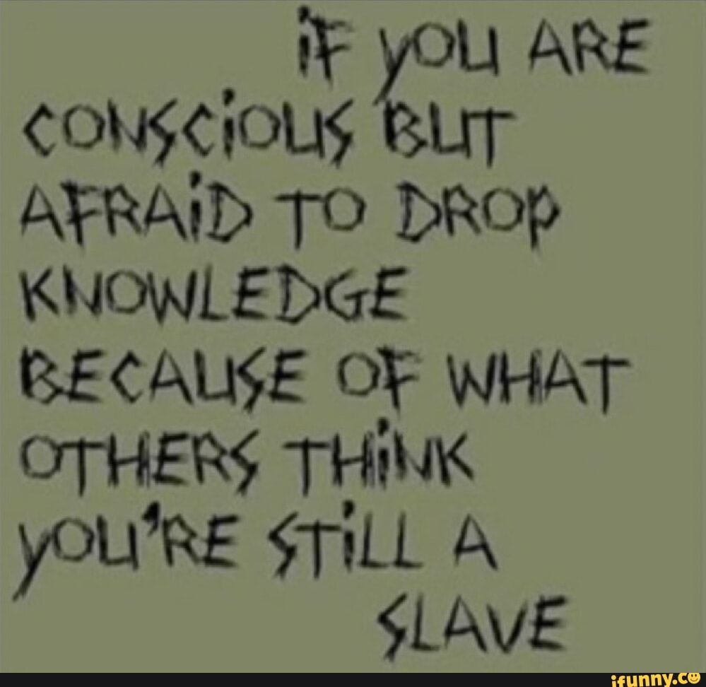 Blt memes. Best Collection of funny Blt pictures on iFunny