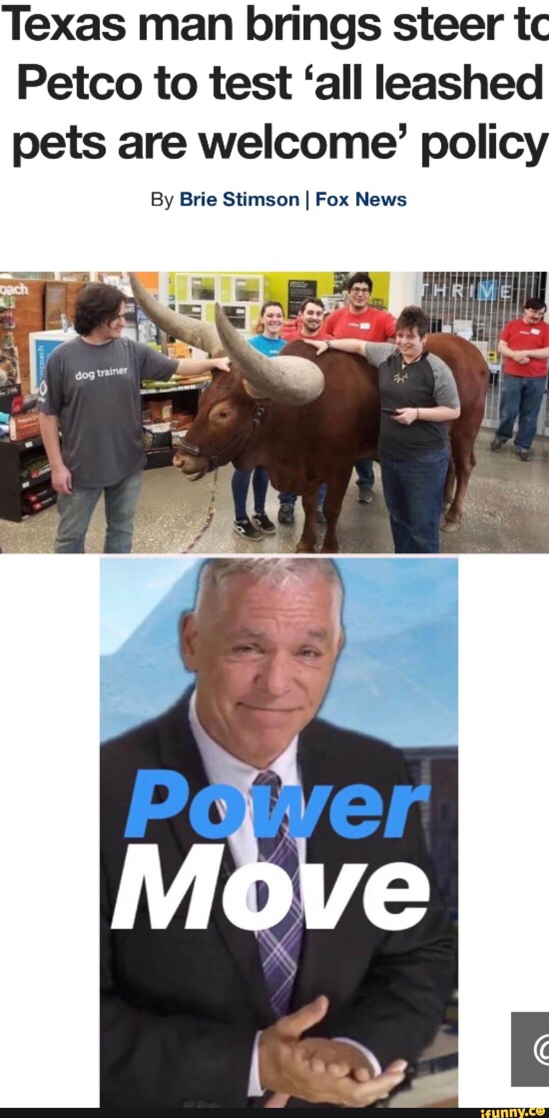Texas man brings steer tc Petco to test ‘all leashed pets are welcome ...