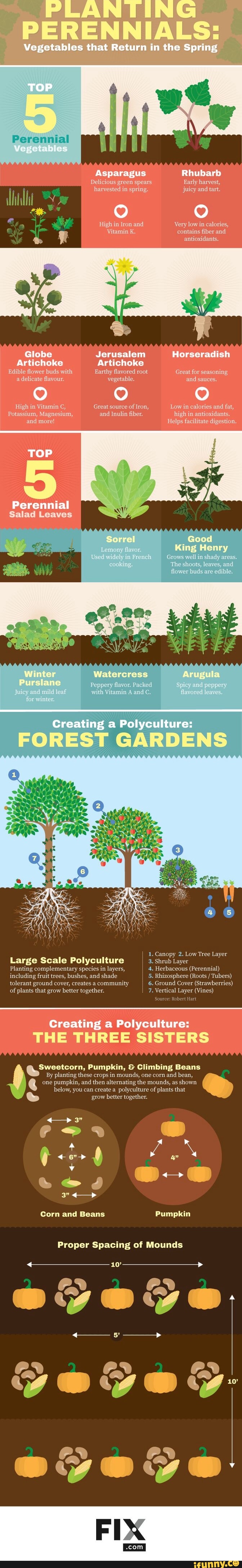 Rhubarb memes. Best Collection of funny Rhubarb pictures on iFunny