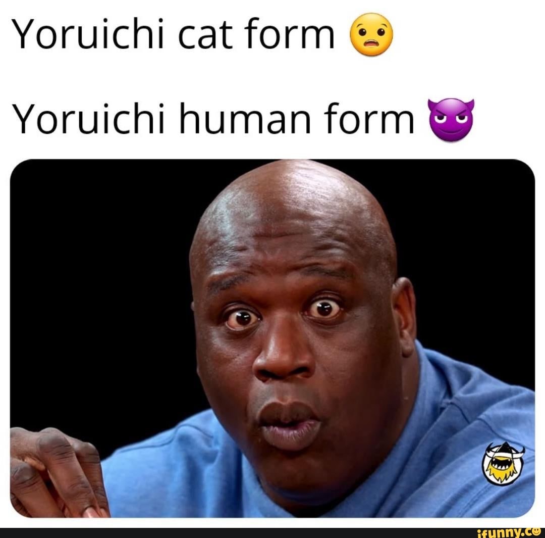Yoruichi cat form Yoruichi human form - iFunny