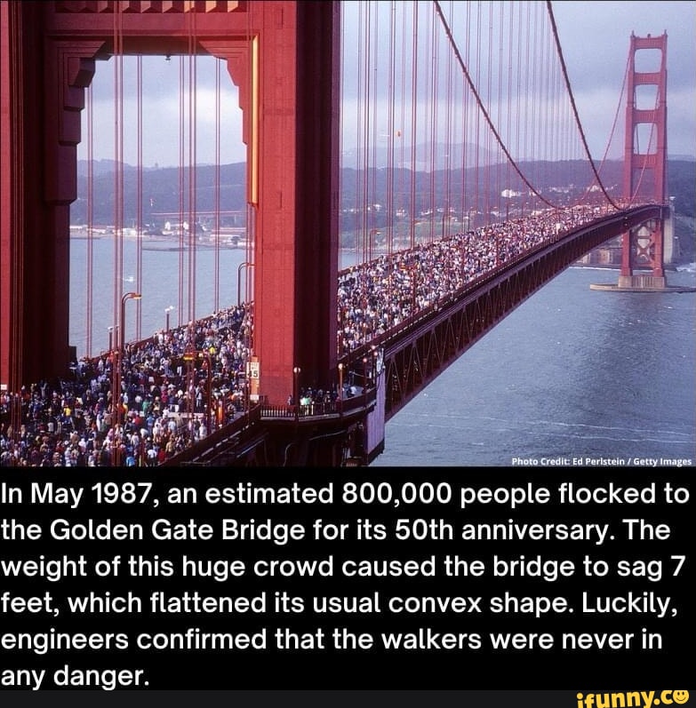 Flattened memes. Best Collection of funny Flattened pictures on iFunny