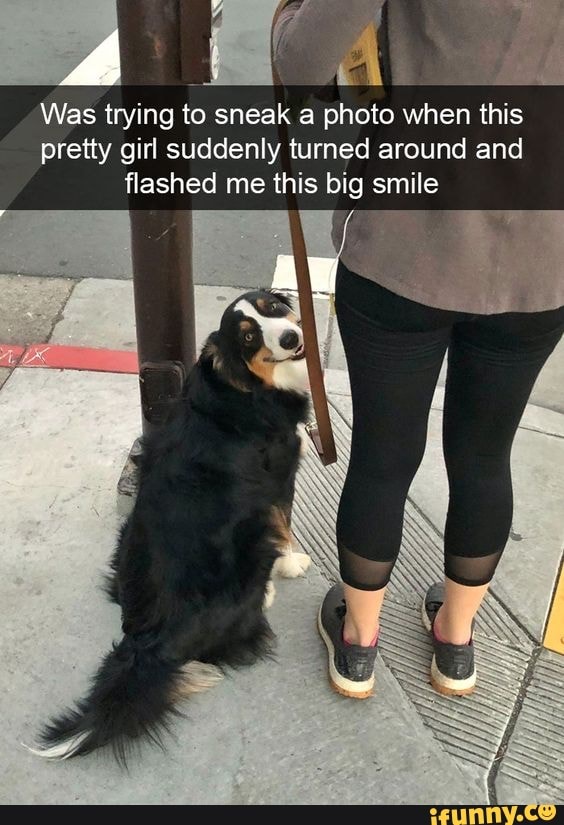 Was trying to sneak a photo when this pretty girl suddenly turned ...